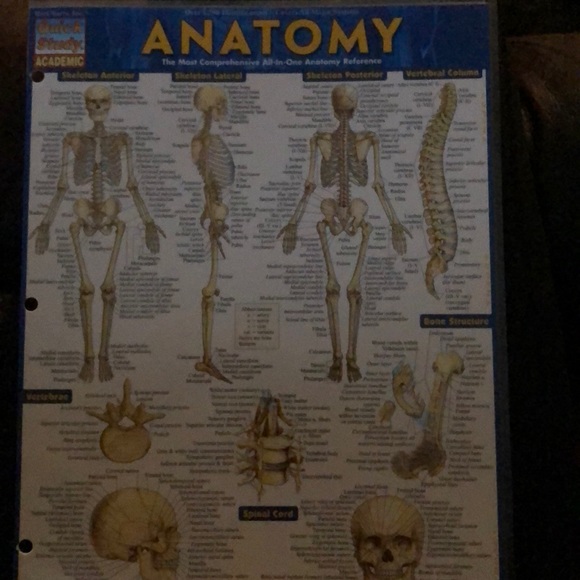 Quick Study Charts | Other | Nwot 5 Kids Quick Study Academic Charts ...